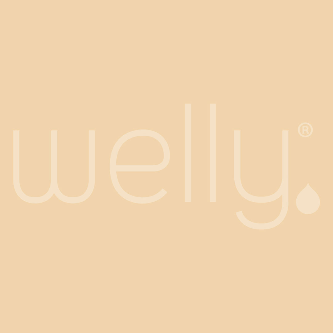 Welly - LITTLE BIG BRANDS